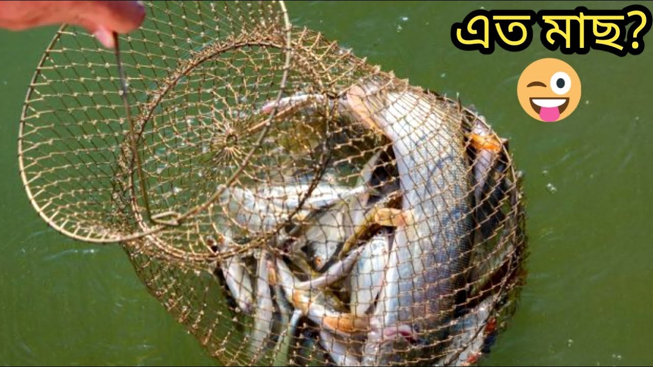 Best Net Fishing Videos - Traditional Catching Fish in River - Catch ...