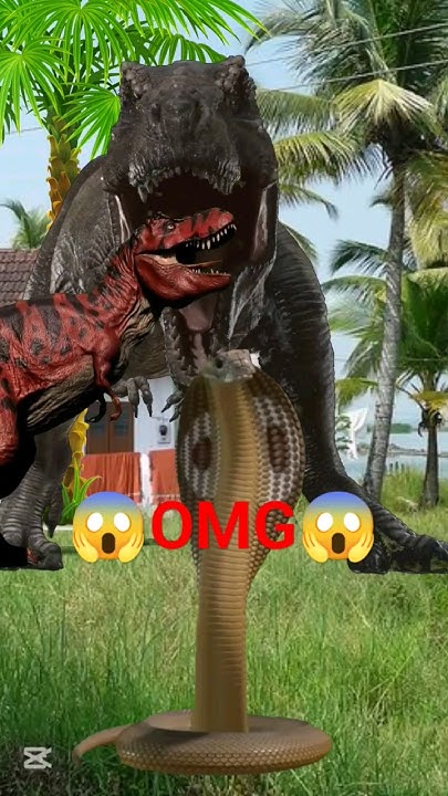 T-Rex Dinosaur Vs Snake | dinosaurs fighting in real life | dinosaur ...