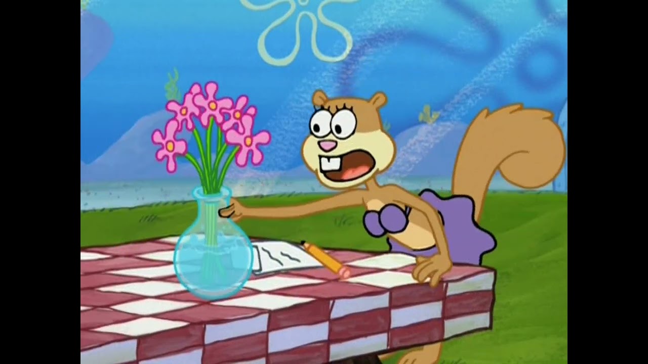 SpongeBob Best Day Ever Short: Flowers For Sandy - YouTube