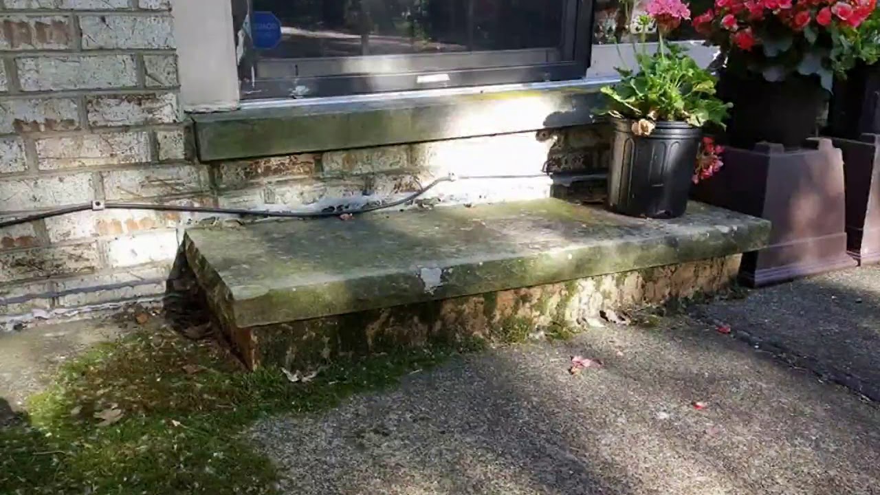 Concrete Leveling with Mr. Level - YouTube