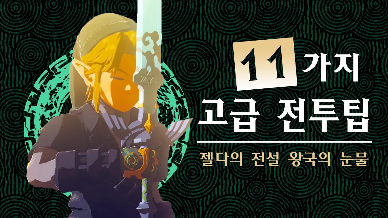 젤다의 전설 티어스 오브 더 킹덤 고급 전투 팁 11가지 Youtube
