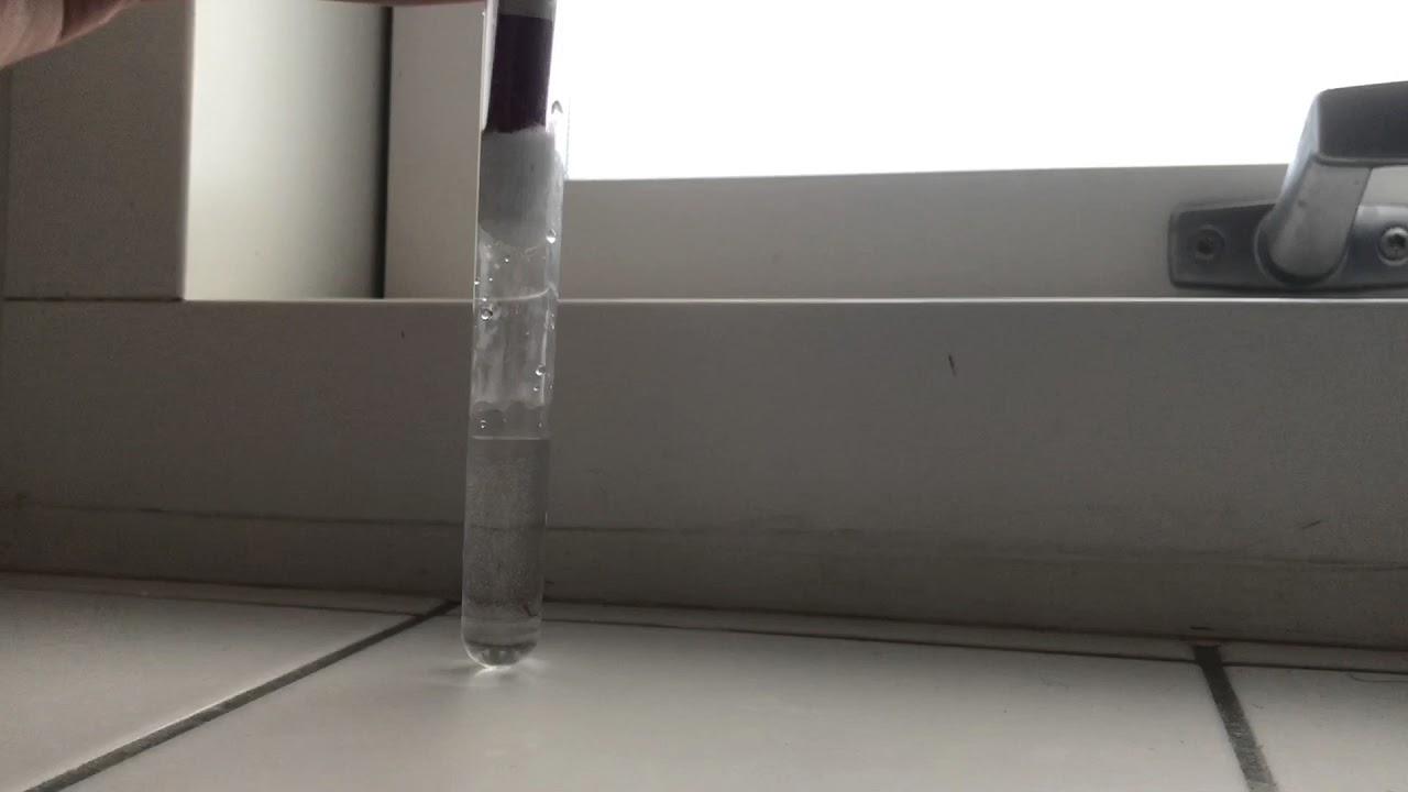 How i change My Queen ant Test tube (Short tutorial) - YouTube