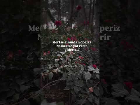 Dostunu iyi seç, namert olmasın❤️#adam #kıymet #namert #dost #düşman #vefa #şair #yol #ölüm #huzur