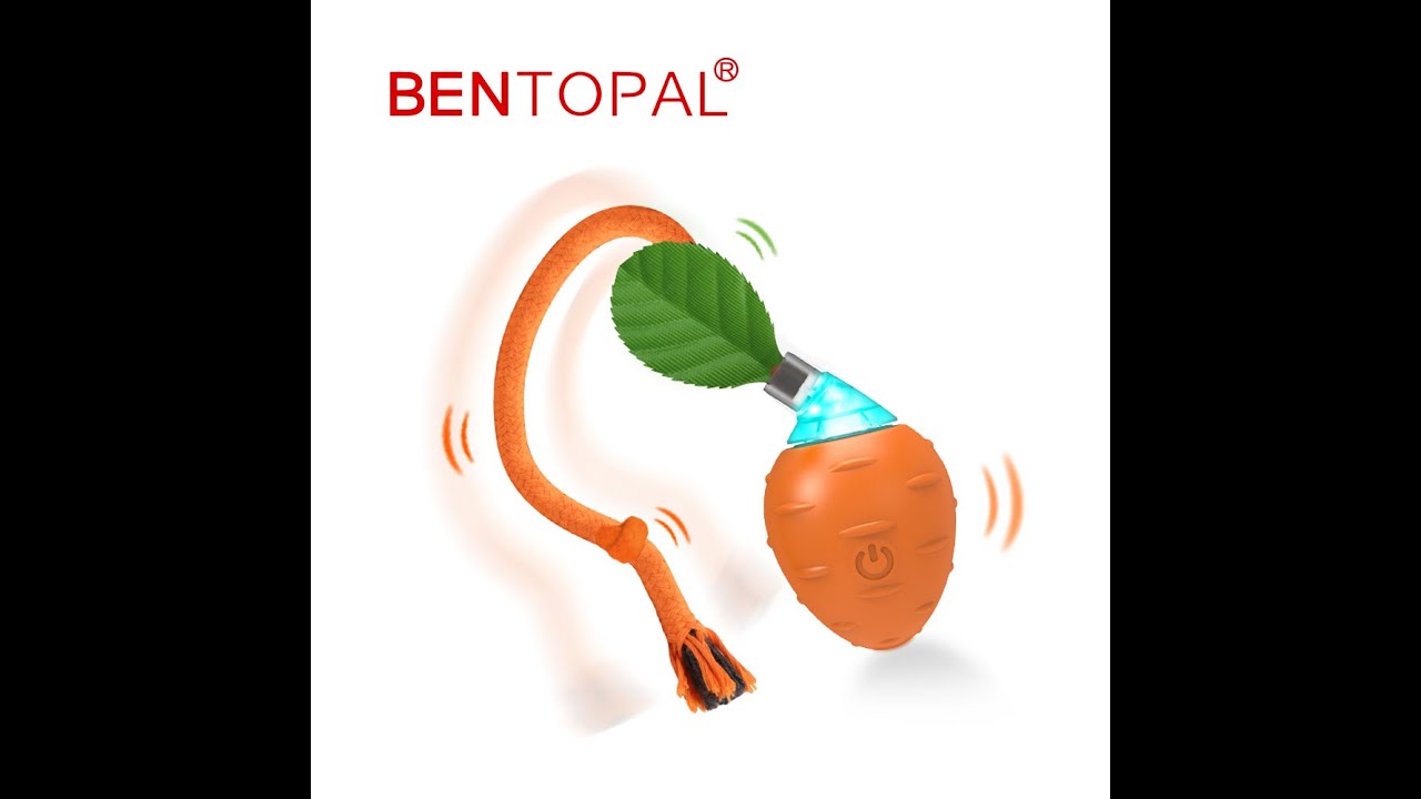 BENTOPAL 邦特普｜LED智能跑跑胡蘿蔔 - YouTube