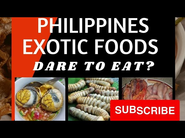 Exotic Foods In The Philippines "List Of Exotic Food Around The
