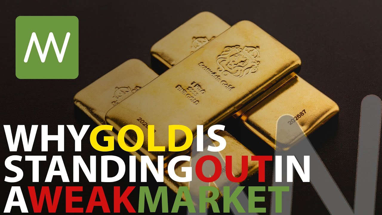 Mission Winners Guide to Gold Stocks: Finding Strength in a Weak Market ...