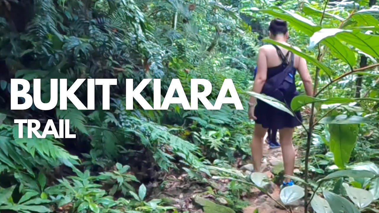 🇲🇾 Hiking at Bukit Kiara Trail - March 12, 2022 - YouTube