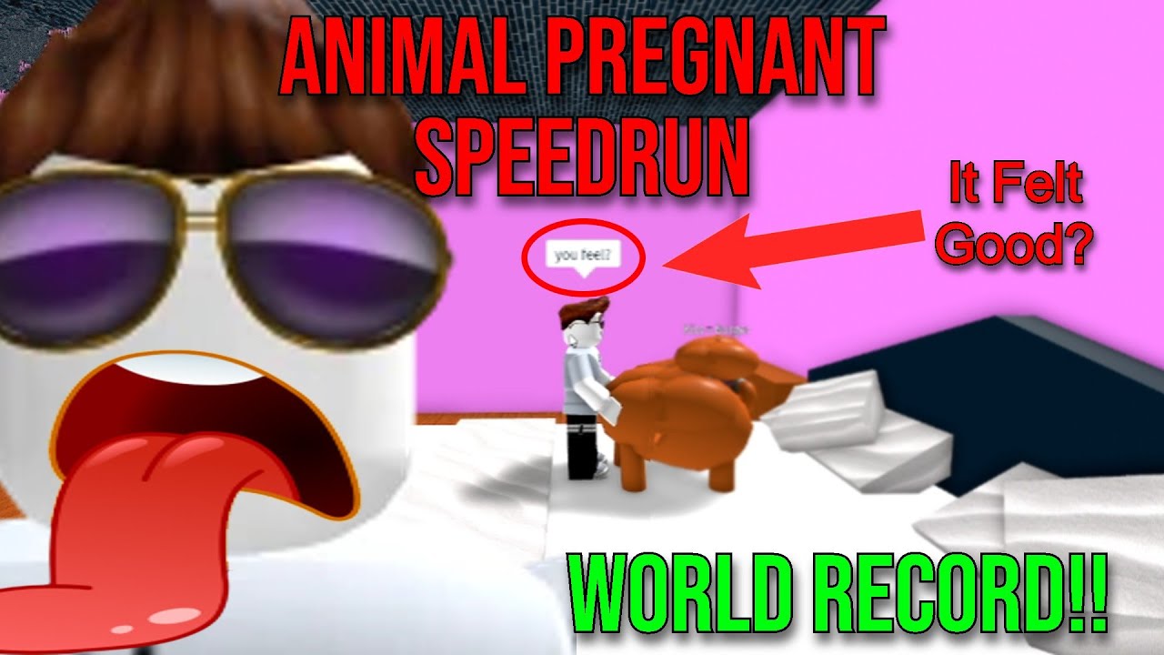 Ethan Furgle Animal Pregnant Speedrun (world record) - YouTube