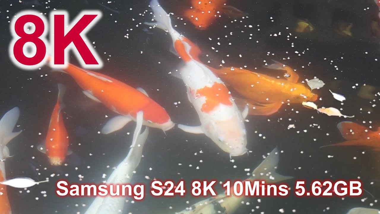 阿仁來了：「第169集三星S24 8K影片 10分鐘 5.62GB Samsung S24 8K 10Mins 5.62GB」 - YouTube