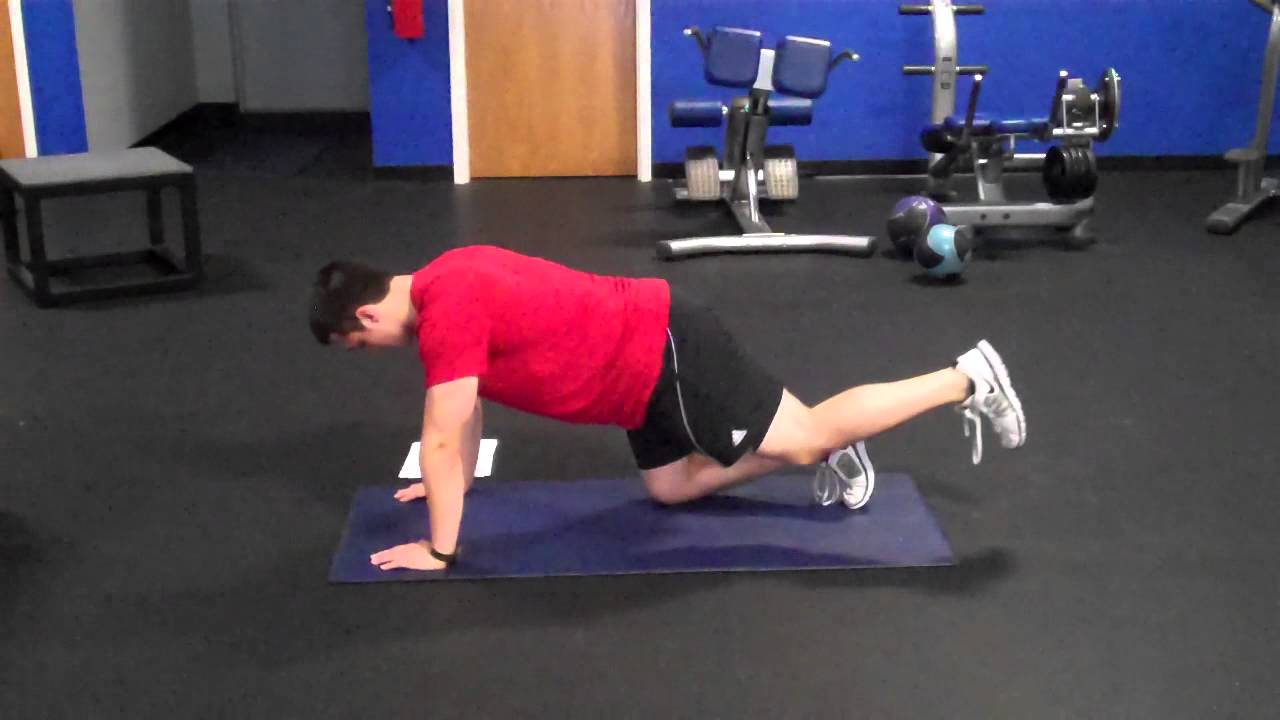 Quadruped Kickback - YouTube