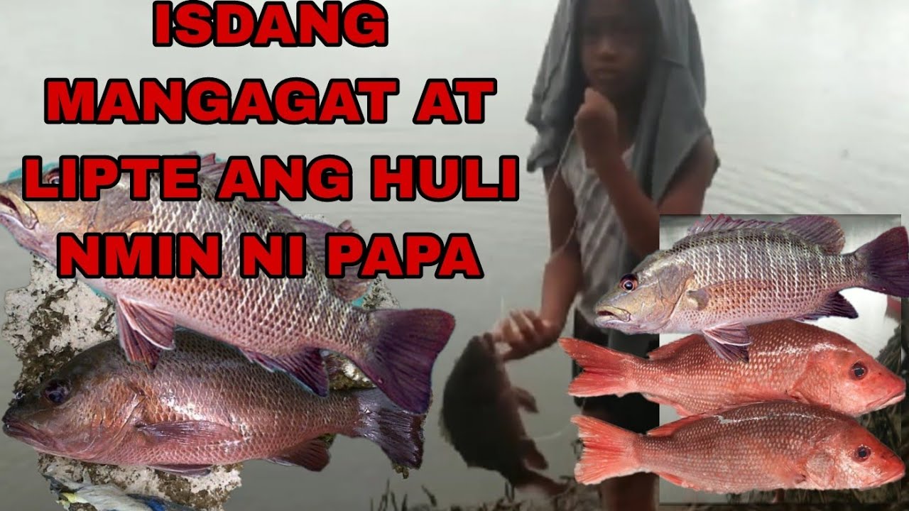 DALAWANG MANGAGAT AT ISANG ISDANG LIPTI ANG HULI NAMIN NI PAPA KAGABI ...