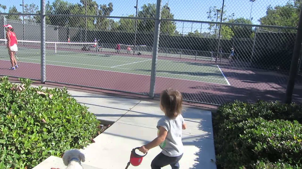 Walking Widget and watching Tennis - YouTube
