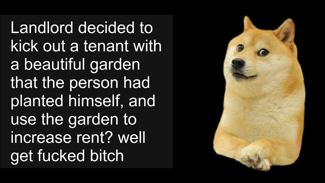 Landlord decided to kick out a tenant with a beautiful gar... | Top r ...