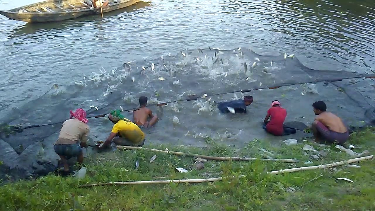 Fishing with round net - YouTube