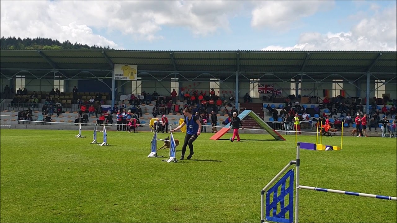 FMBB 2019 - QA2 - YouTube