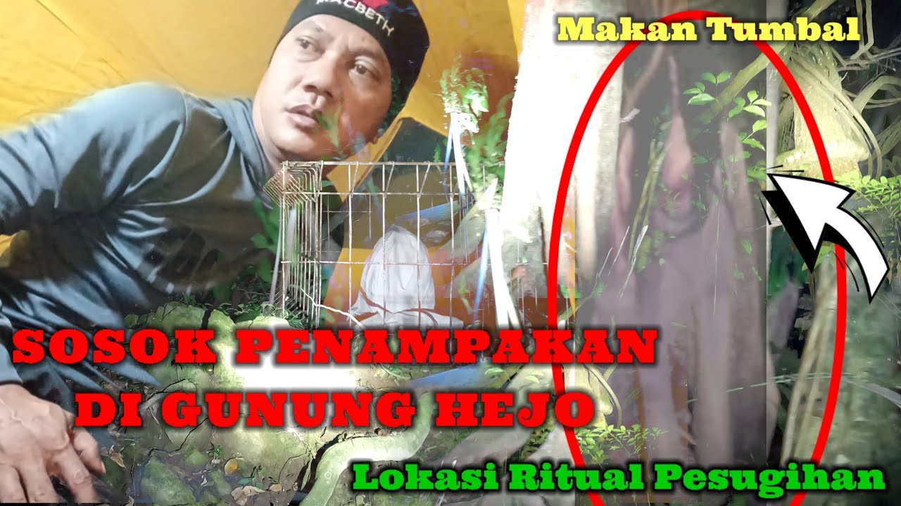 CAMPING HOROR : SOSOK PENAMPAKAN DI GUNUNG HEJO LOKASI RITUAL PESUGIHAN ...