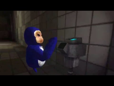 Playing capuchin VR - YouTube