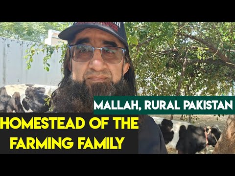 Living in Pakistan, Village life in Pakistan - Simplicity & tradition ...