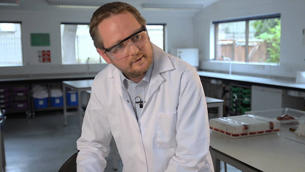 Pluck Dissection demonstration - Get set...demonstrate for Demo Day ...