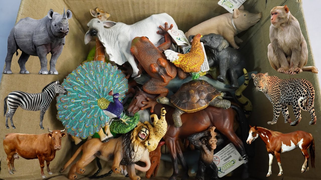 38 sea animals+ entertainment 13+ dinosaur horse tiger lion zebra cow ...