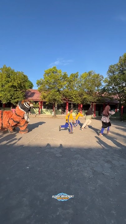 pasukan bocil dikejar can macanan - YouTube