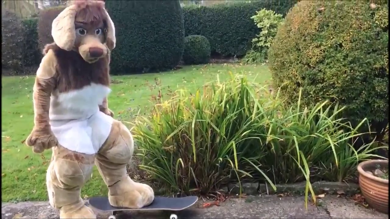 Wiener Dog Riding On A Skateboard - Fursuit Edition - YouTube