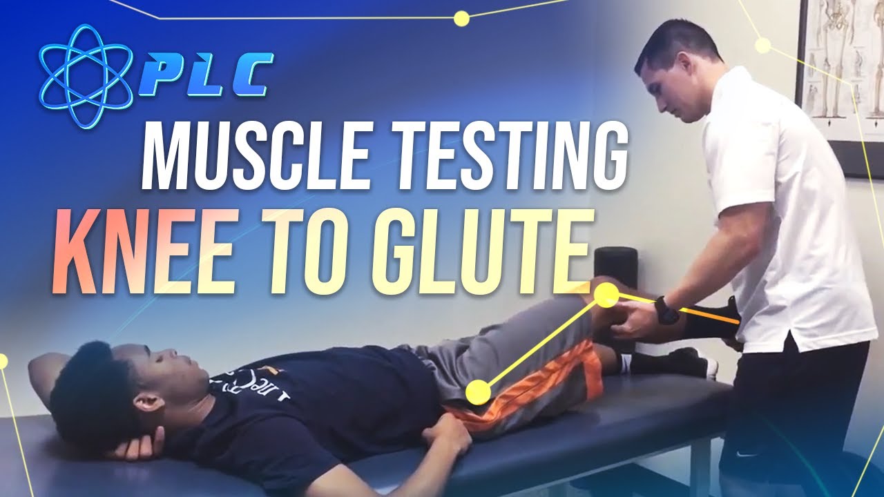 Performance Lab: Muscle Testing Knee to Glute - YouTube