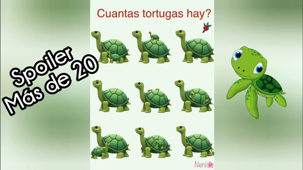 ¿Cuántas tortugas hay? // how many turtles (tortoises) are there in the ...