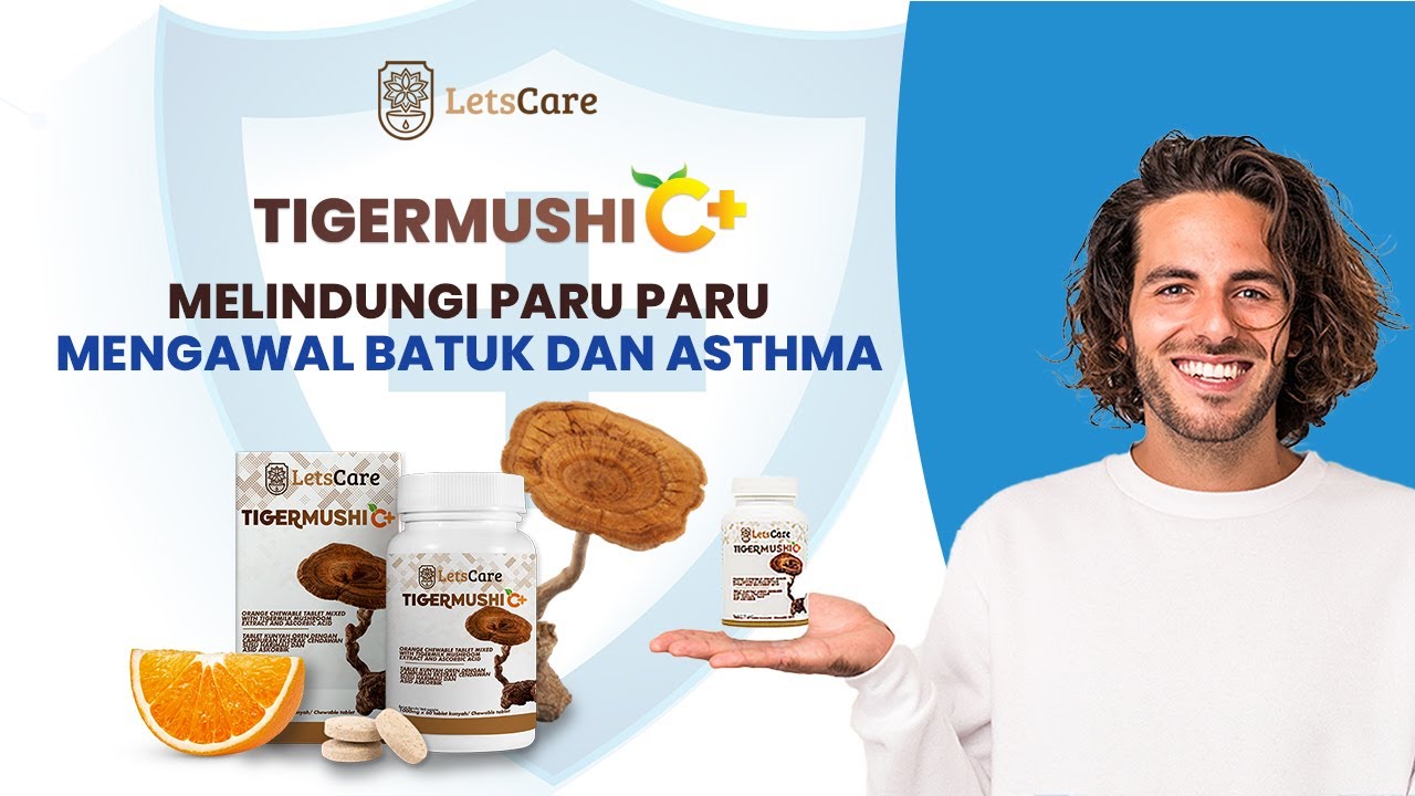 Cendawan Susu harimau (Tiger Milk Mushroom) - Melindungi paru-paru ...