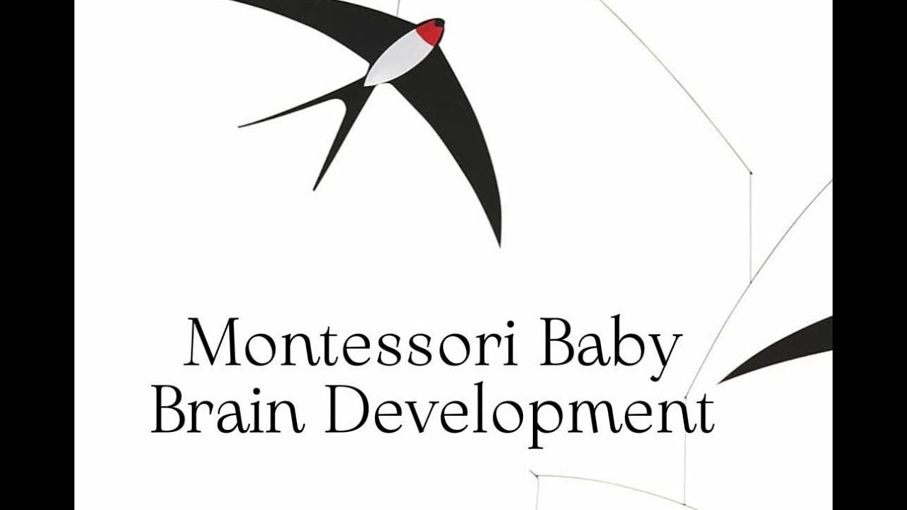 Montessori Baby Brain Development - YouTube