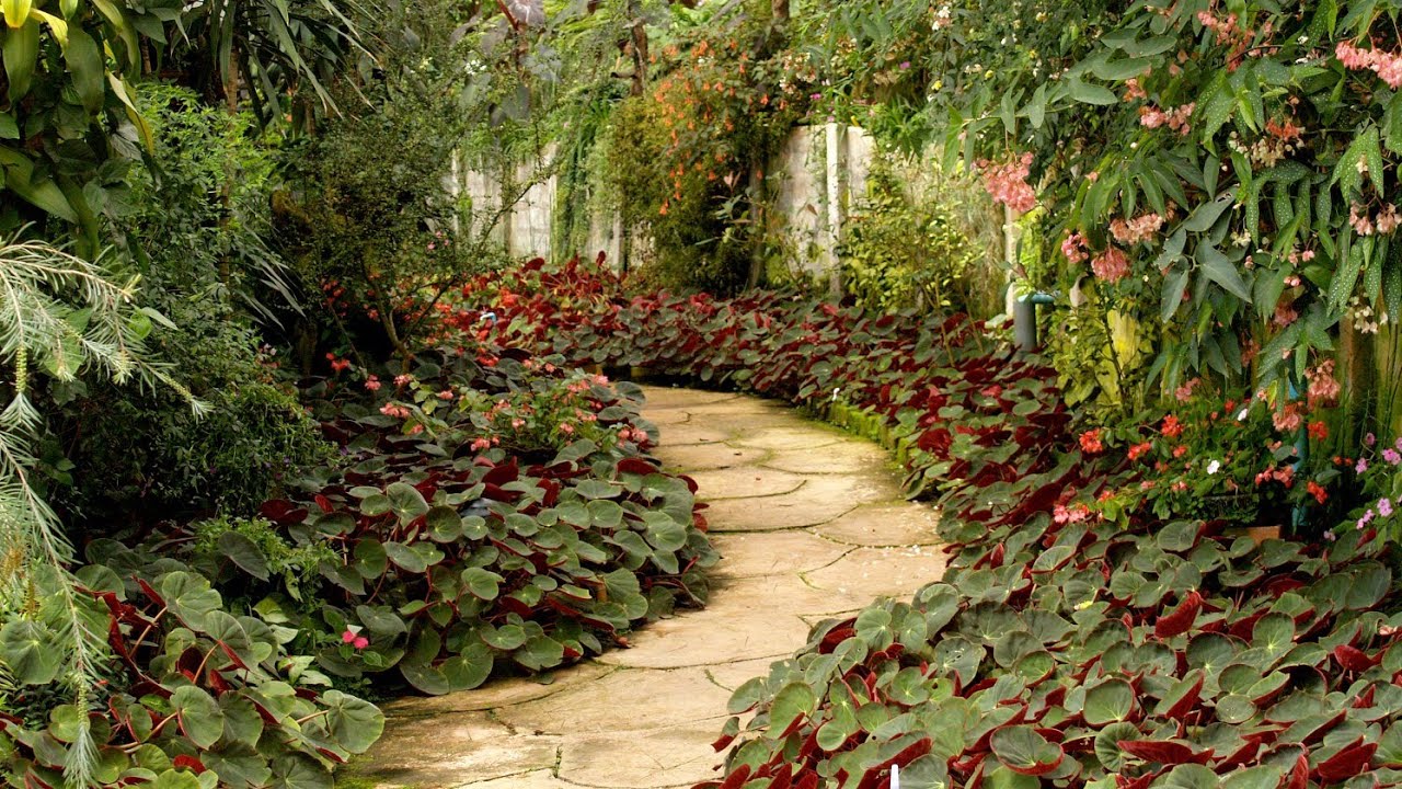 Gardening Ideas For Home In Tamil YouTube gardening-ideas-for-home-in-tamil-youtube