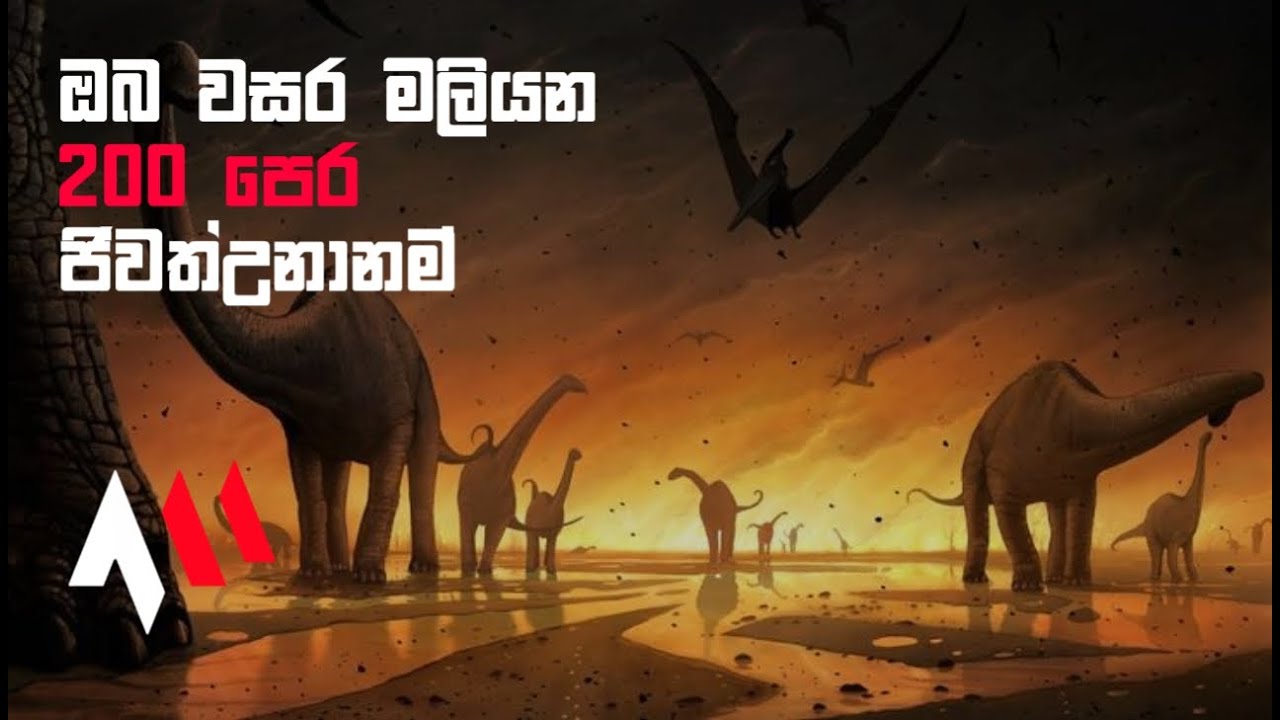 ඔබ මිට වසර මිලියන 200 කට පෙර ජිවතුන් අතර සිටියානම් 😕 | MIND HOOK SHOW ...