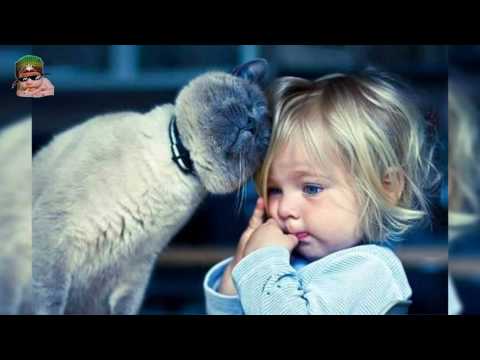 12.Tatlı Bebekler Tatlı Çocuklar.mp4