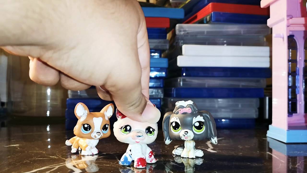 LPS Emily and her friend Molly boyfriend and foxy boyfriend rechael and ...