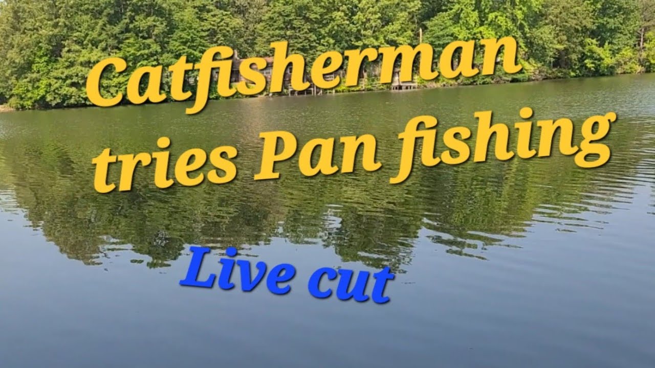 Catfisherman tries Pan fishing #youtubefishing #fishing - YouTube