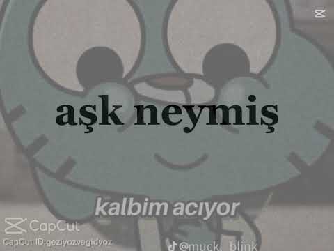 Bunlardan bıktım ben...