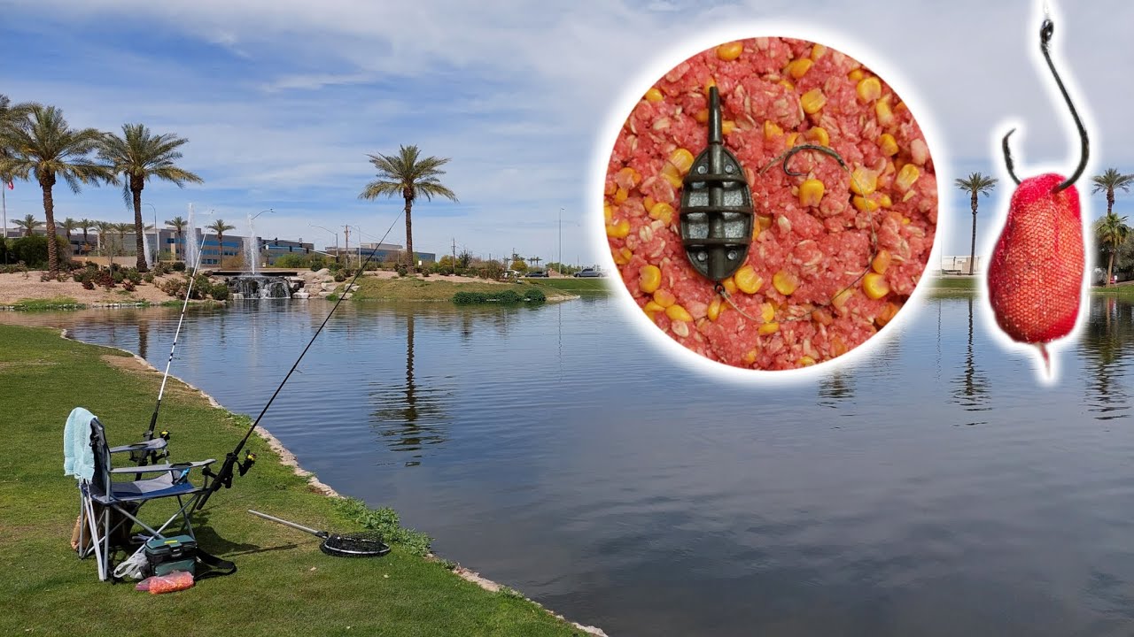 Fishing for Catfish and Carp Using Pack Bait and Stryker Bait! - YouTube