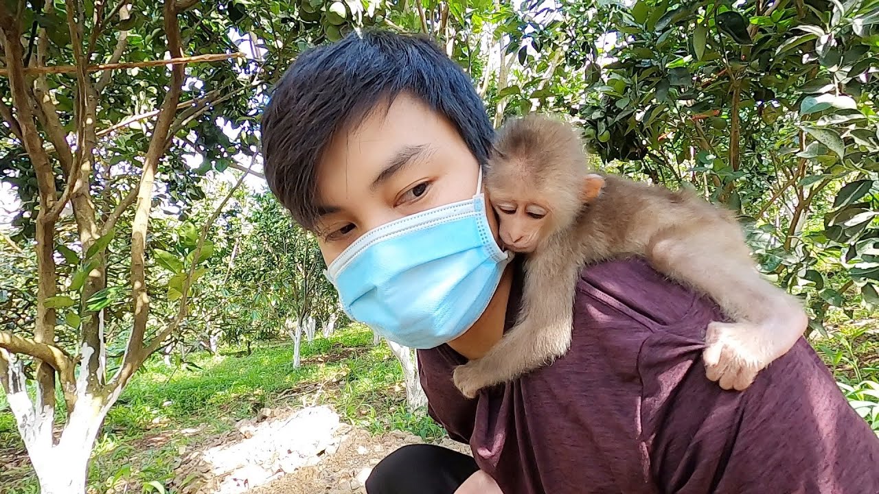 Monkey Ricky and I miss you so much - YouTube