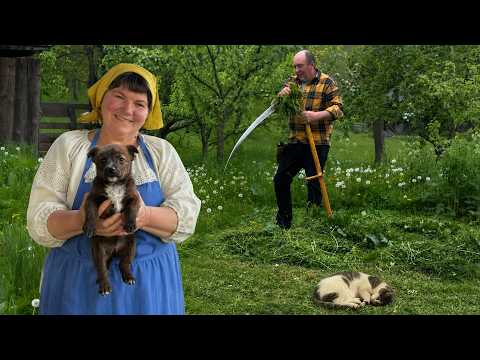 Simple Village Life: A Quiet Day On A Traditional Ukrainian Homestead
