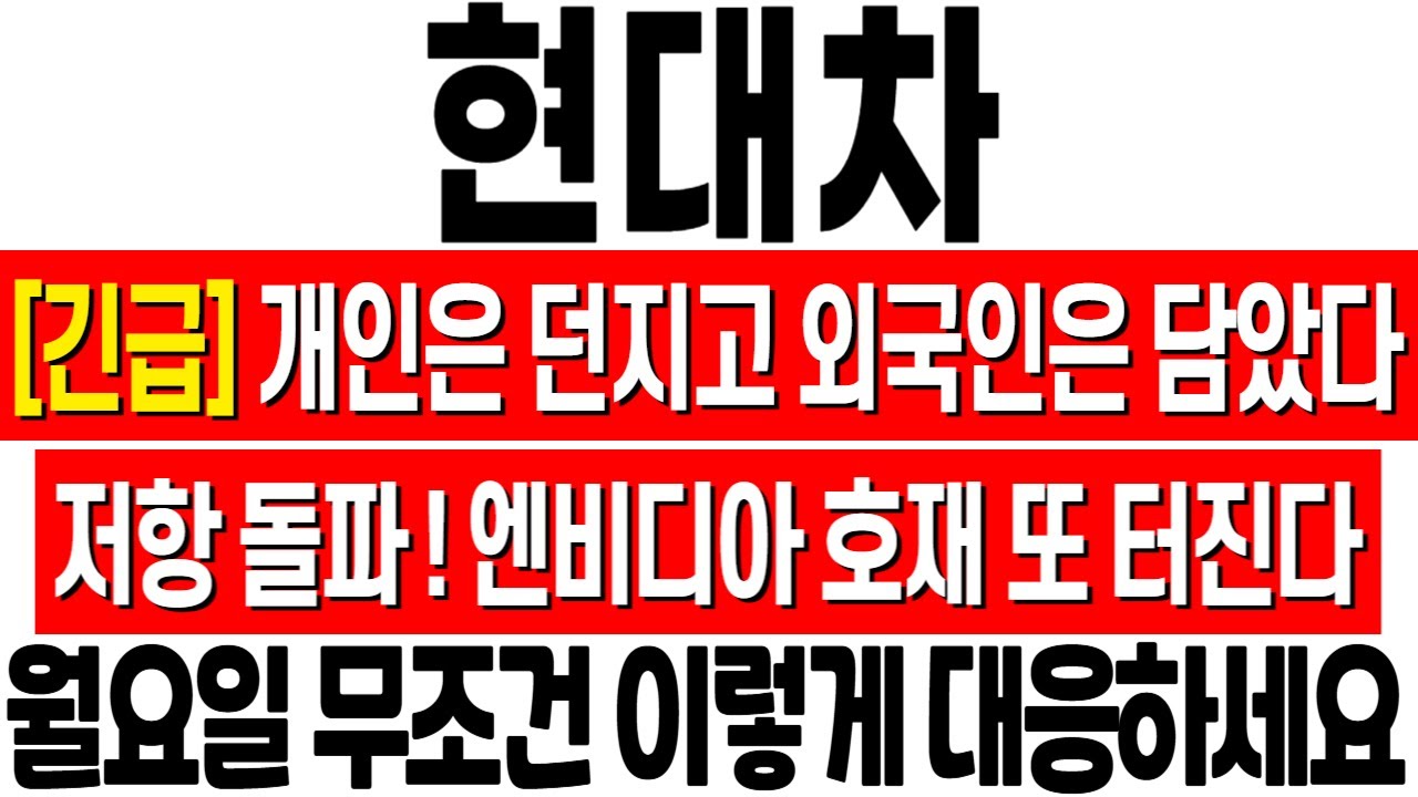 현대차 주가 전망 개인은 던지고 외국인은 담았다 저항 돌파 엔비디아 호재 또 터진다 긴급 대응 전략 현대차 주식 분석