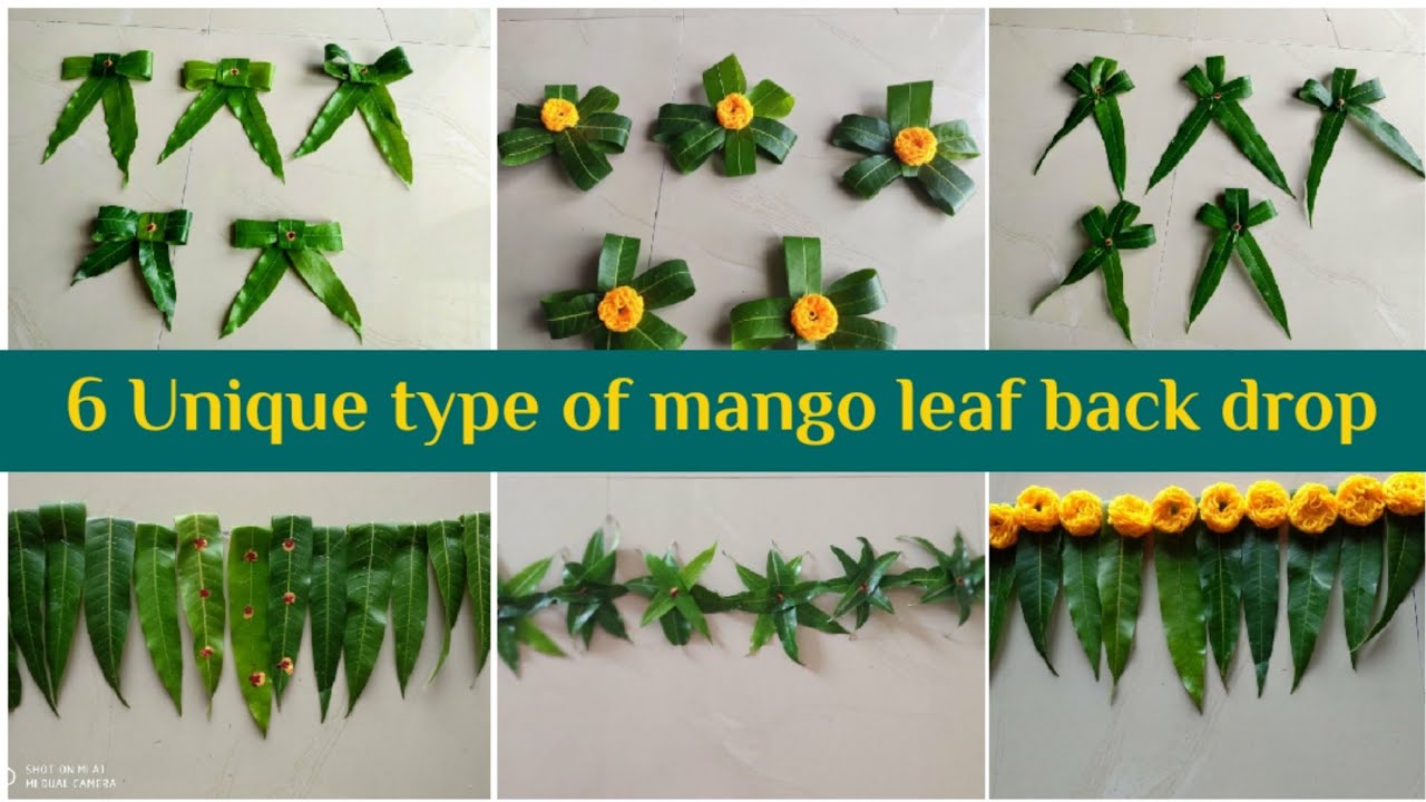 Festival special Mango leaf thoranam|Door droppings using mango leaf ...