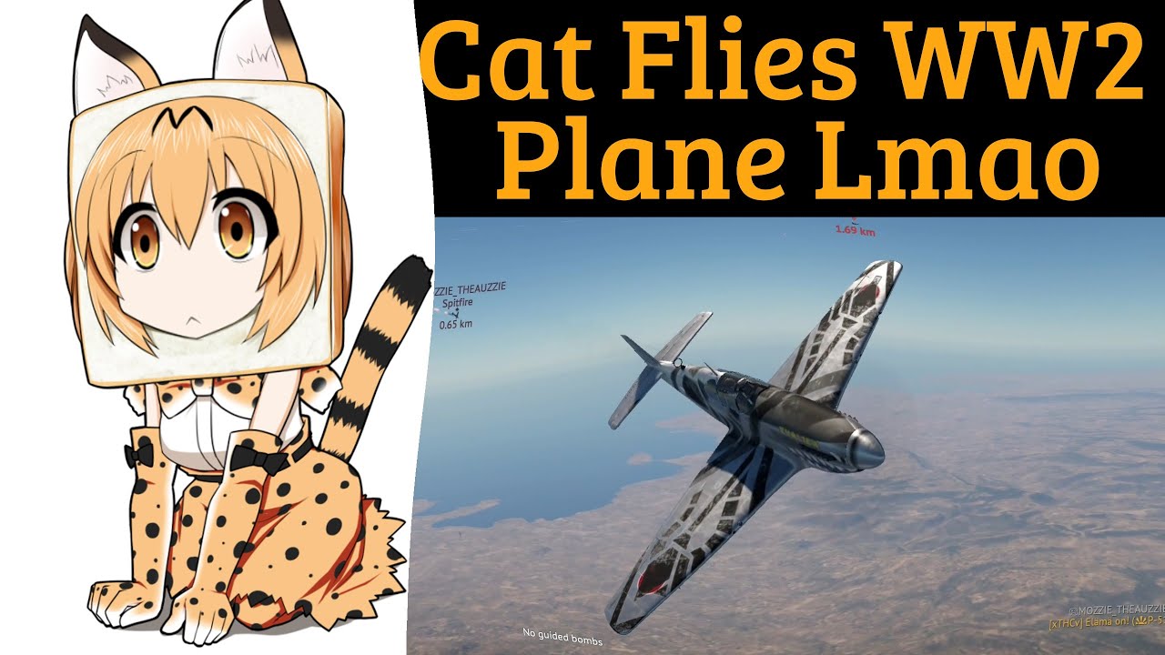 Cat Flies WW2 Plane Lmao - YouTube