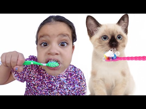 Mon Chat et moi on se brosse les dents😂 Take care of the kitten: