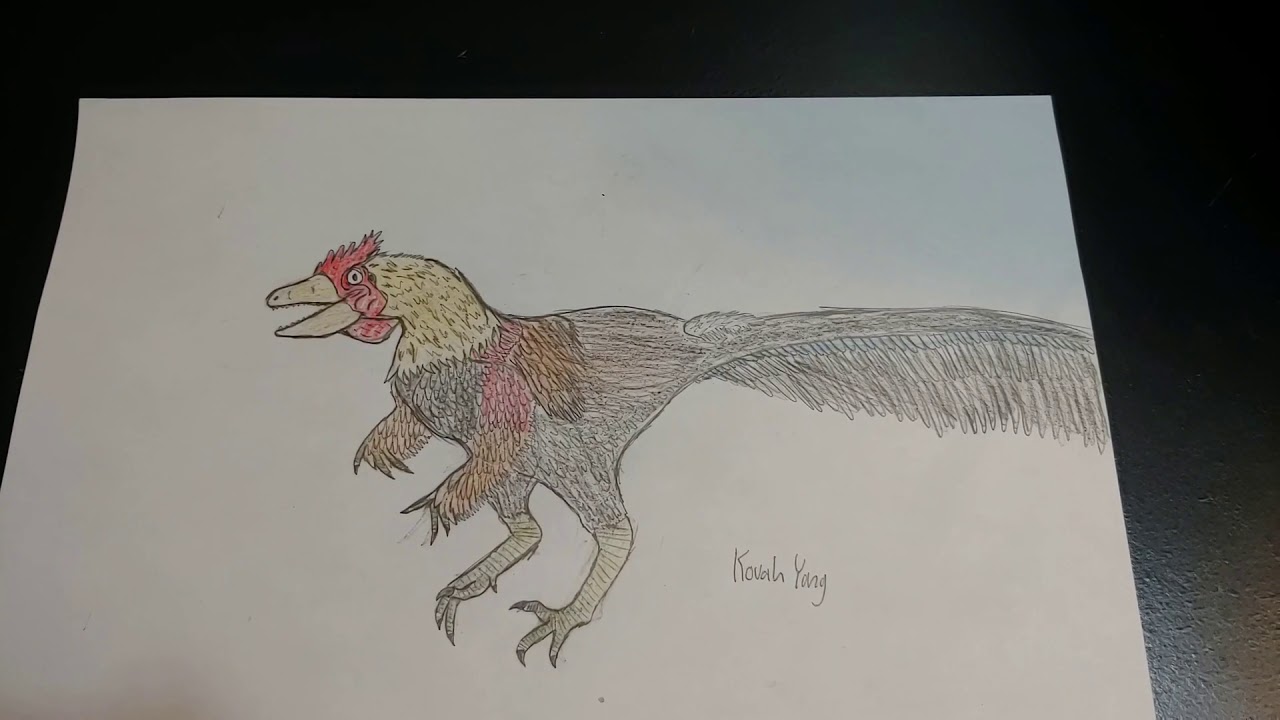 Feathered Raptor Drawing - YouTube
