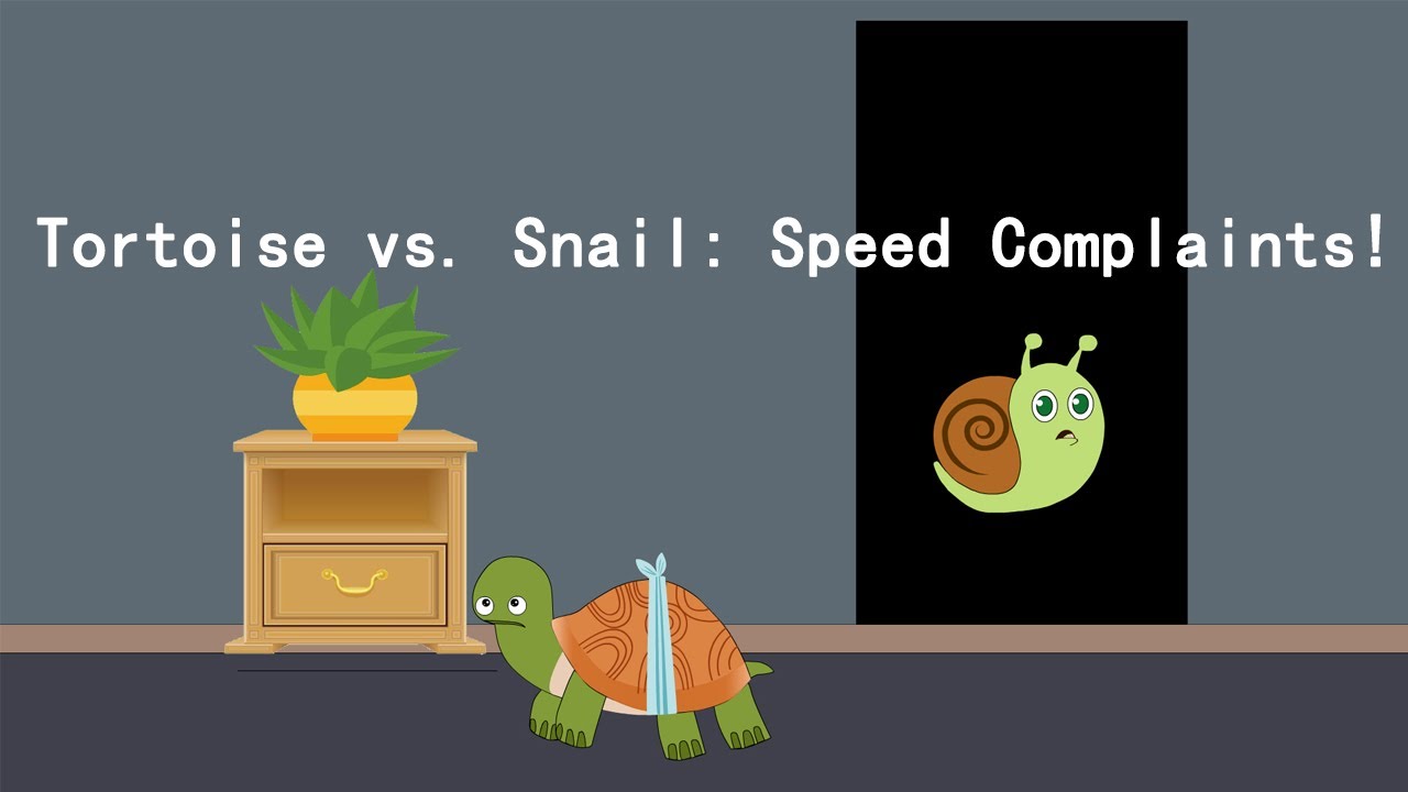 When a Snail Meets a Tortoise: A Funny Tale of Speed & Friendship ...