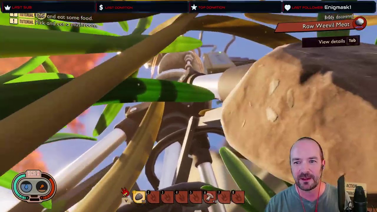 Live Stream - Grounded First Look! - YouTube
