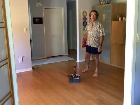 Cocek De Lune Circle Dance - YouTube