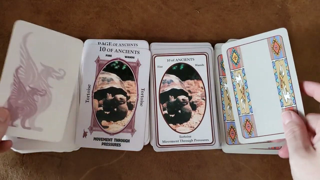 Animal Wise Tarot by Ted Andrews | 1999 vs 2007 Flip-Through - YouTube