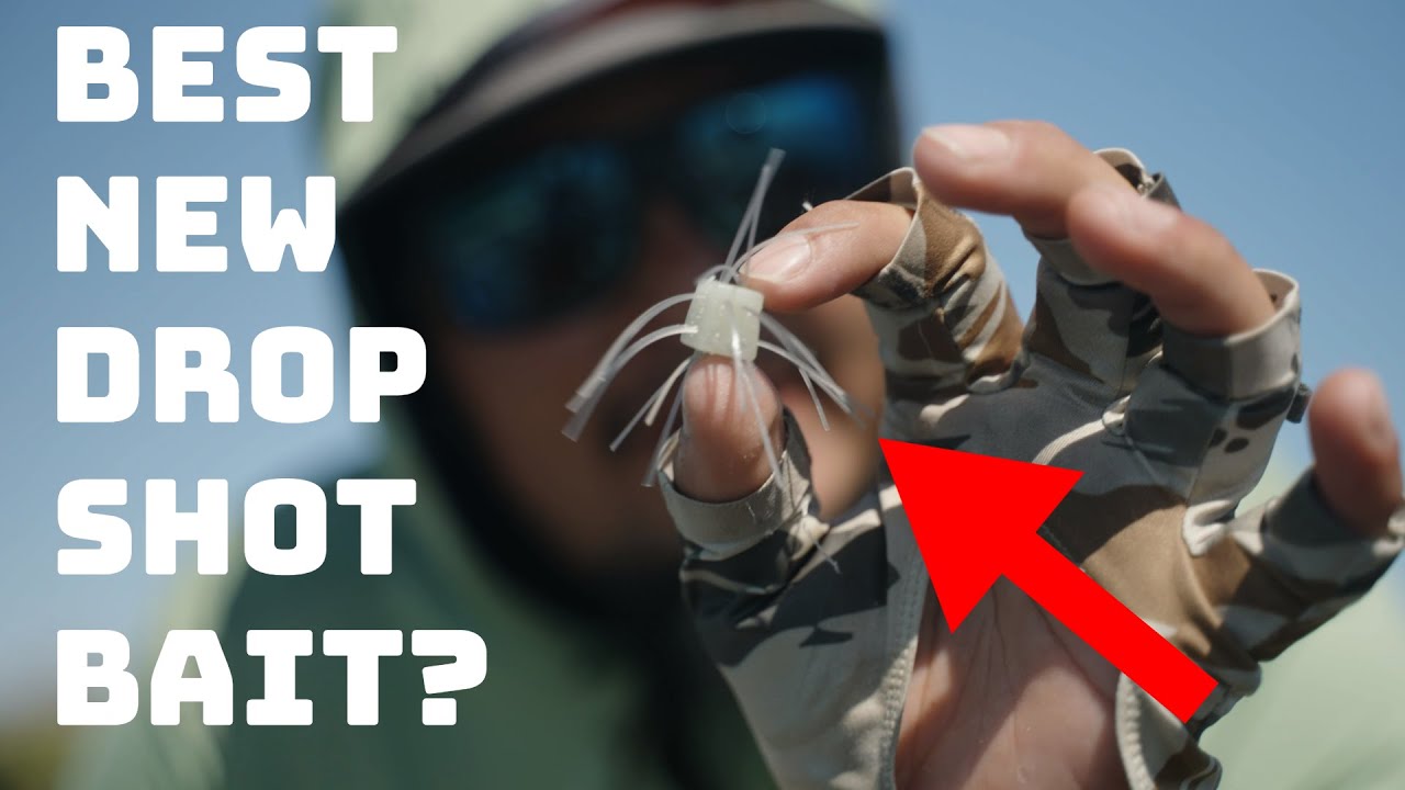 Is This Crazy Japanese Lure The Best Drop Shot Bait On The Market ...