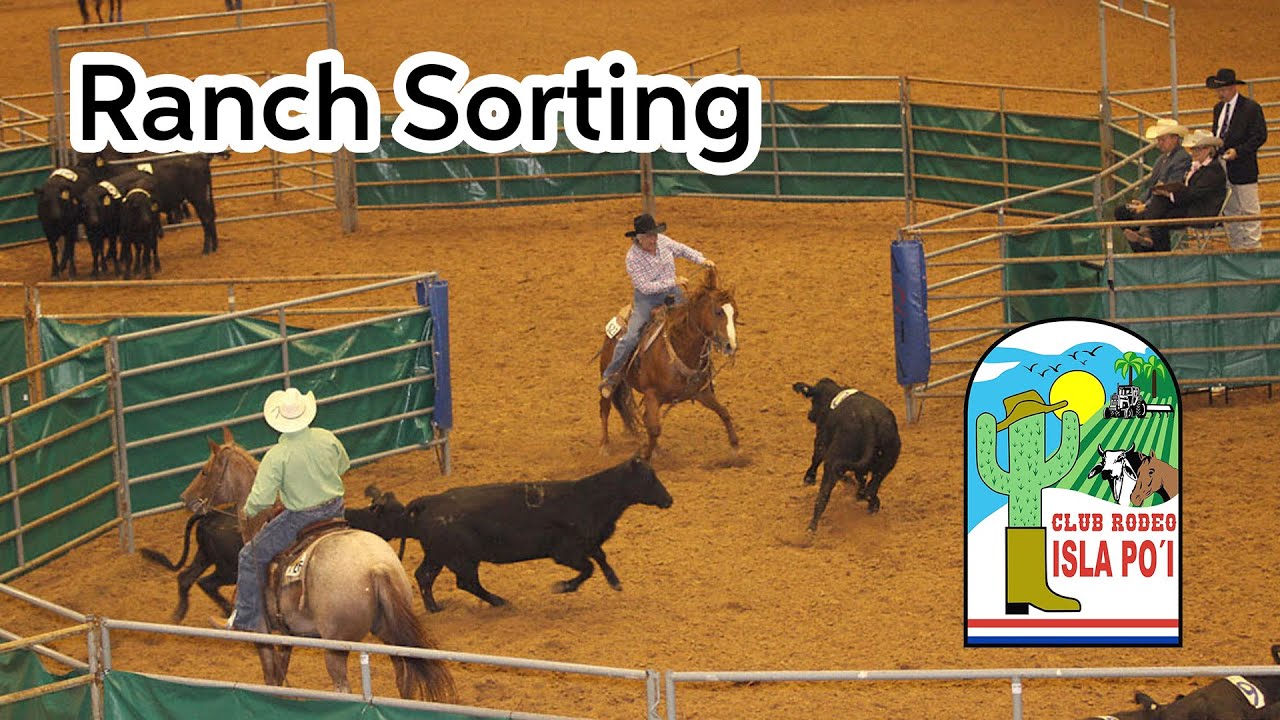 Ranch Sorting Isla Poi - 2023 - YouTube